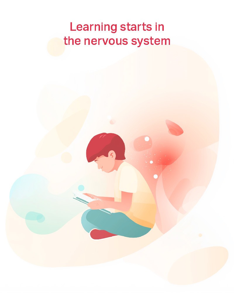 When learning starts in the nervous system | Regen Clinic